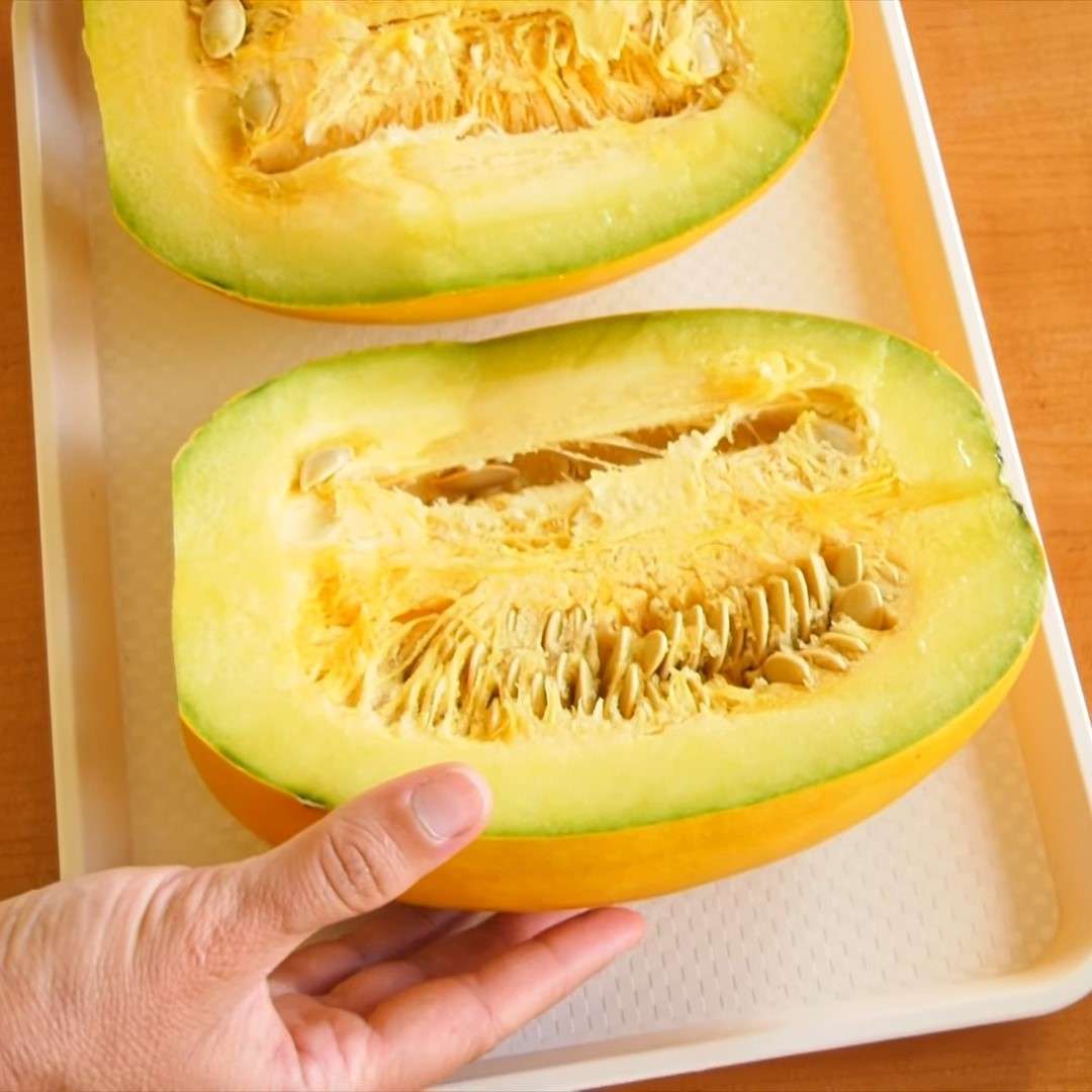 SEME BUNDEVE I TIKVE - tragbiljke.com