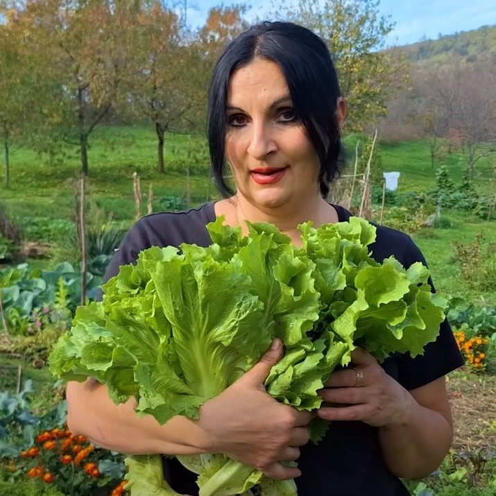 "Radič - Više od Salate: Vaš Saveznik u Zdravlju i Zimi" - Trag Biljke
