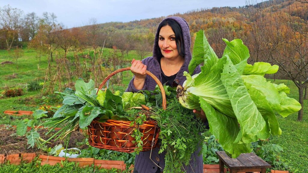 PRONAĐI VIDEO - Trag Biljke